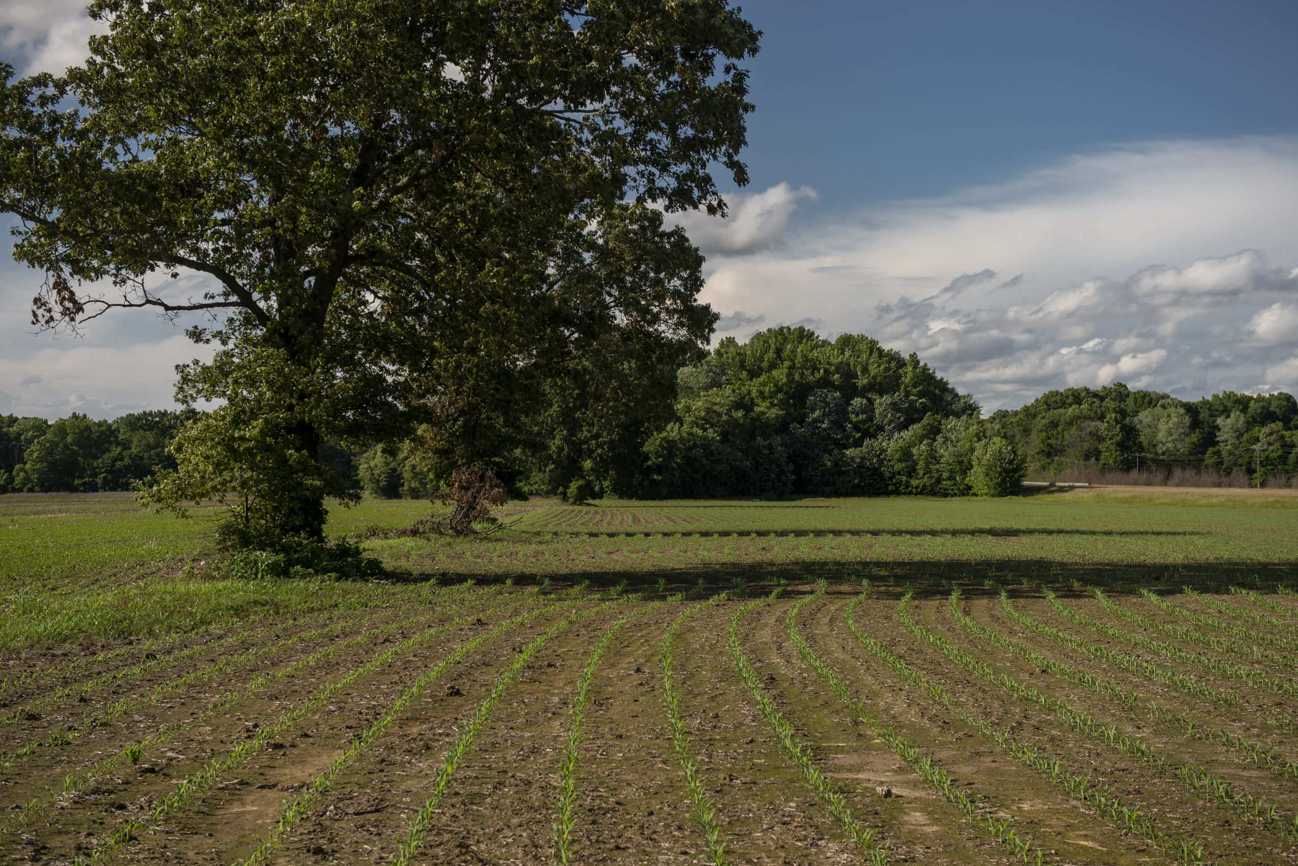 No-Till and Conservation Tillage | Regenerative Ag